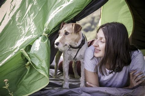 Visit Pfeiffer Big Sur State Park Dog Friendly Campgrounds