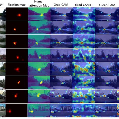 Visualizing The Explanation Generated By Different Xai Methods Download Scientific Diagram