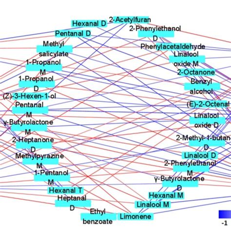Figure Correlation Network Diagram Of Aroma Sub Attributes And Key