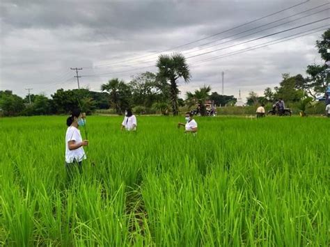 ရွှေဘိုခရိုင် ဝက်လက်မြို့နယ်တွင် ကိုဗစ် ၁၉ စီးပွားရေးကုစားမှု Cerp