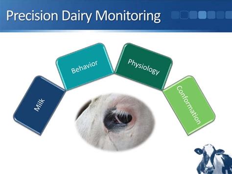Precision Dairy Monitoring Of Fresh Cows Pptx Endocrine And Metabolic Diseases Diseases