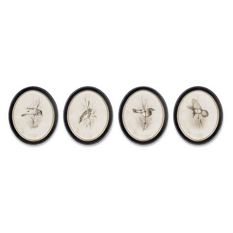 Framed Bird Print Set Of 4 Sauders Nursery Llc