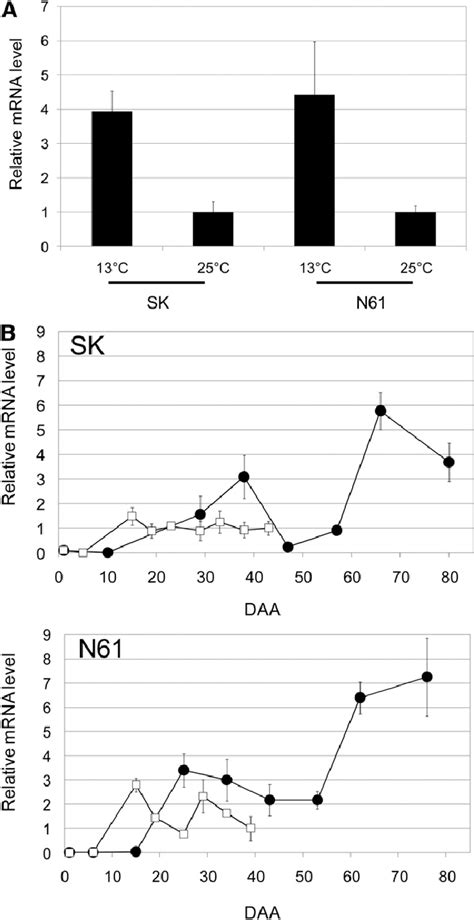 The Temperature Effect On The Expression Of MFT Download Scientific Diagram