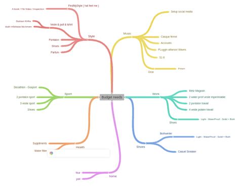 Budget Needs Coggle Diagram