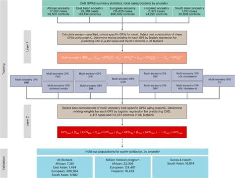 A Multi Ancestry Polygenic Risk Score Improves Risk Prediction For… Institute For Precision
