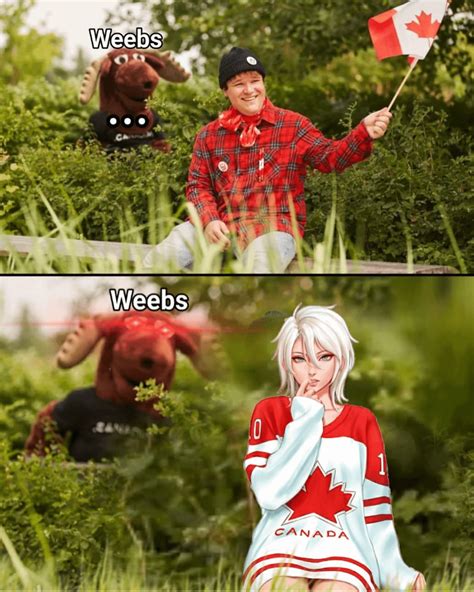 How To Catch A Wild Weeb Rmxrmods