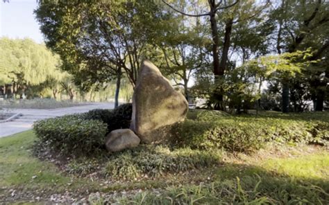 Framer Interactive Video Interpolation