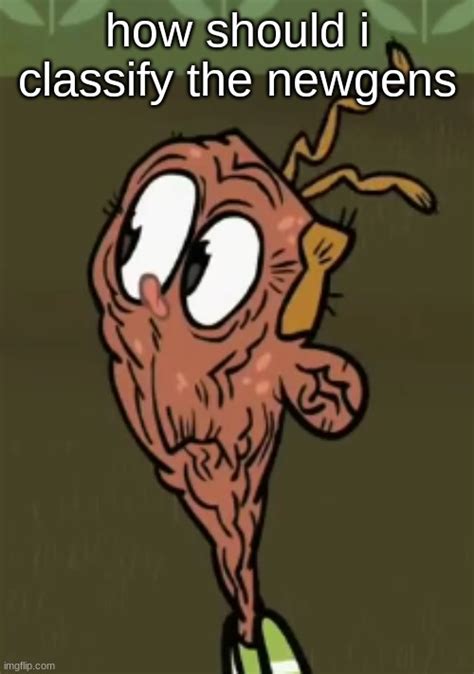 Two Shoes Wild Imgflip