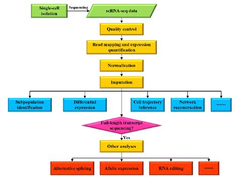 Figure 1 from Single-Cell RNA-Seq Technologies and Related Computational Data Analysis ...