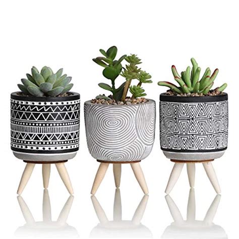 Plantas Suculentas Artificiales de Plástico Puntodecoracion