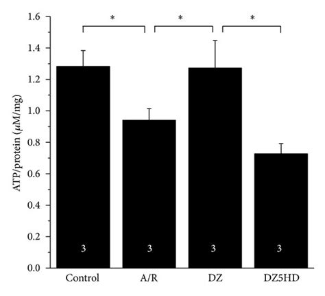 ATP Quantitation At The End Of Reoxygenation ATP Content Was Detected Download Scientific