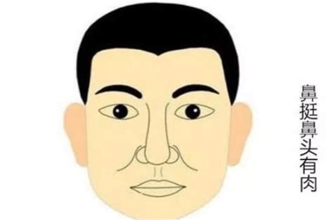 盘点相学中最有福气的7种鼻子 面相 生肖网