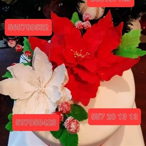 ტკბილი სახლი წნორში