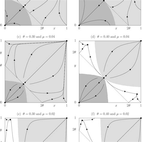 Solution Curves And Basins Of Attraction Of The Deterministic Model