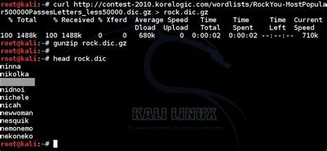 project x16 cracking windows password hashes with hashcat 15 pts