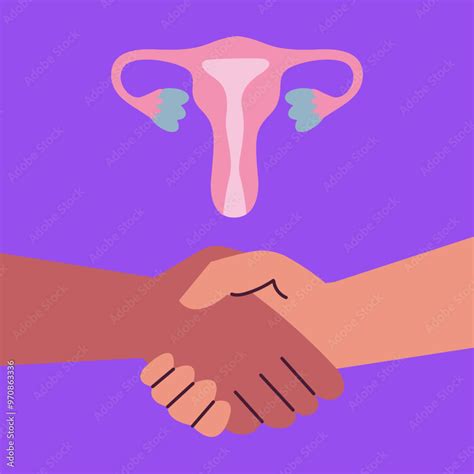 Healthy Female Reproductive System With Handshake Female Anatomy