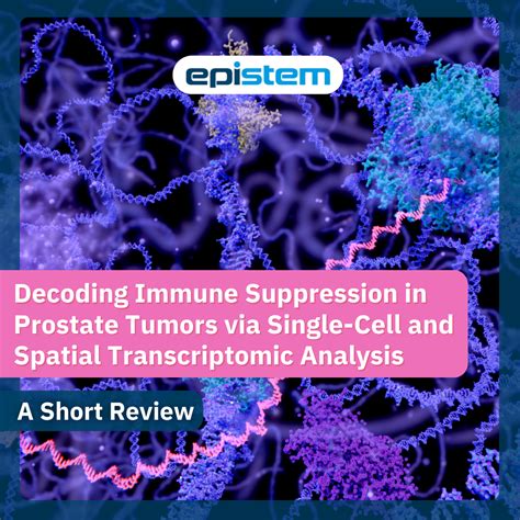 Decoding Immune Suppression In Prostate Tumors Via Single Cell And