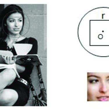 Face Detection And Segmentation Download Scientific Diagram