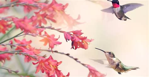 Cathy Cavanaugh On Linkedin ‘digital Transformation Is A Misnomer