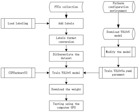 improving artificial intelligence based individual tree species