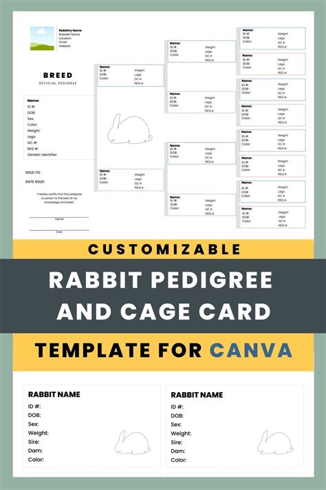 Customizable Rabbit Pedigree And Cage Card For Rabbitry Record Keeping