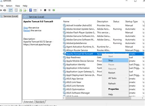 Java Several Ports 8005 8080 8009 Required By Tomcat Server At