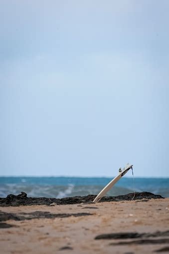 남아프리카 공화국 제프리스 베이의 바닷가 모래에 갇힌 서핑보드의 수직 사진 0명에 대한 스톡 사진 및 기타 이미지 0명