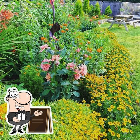 The Three Compasses Dunsfold Rd In Alfold Restaurant Reviews