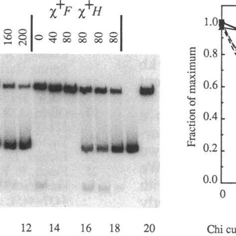 Inhibition Of Recbcd By Incubation With Chi Containing Dna Left Download Scientific Diagram