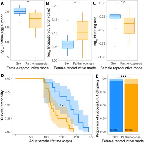 Effect Of Sex Blue Versus Parthenogenesis Orange On Female Fitness