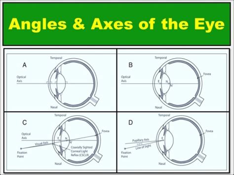 Health Kura — Axes Of The Eye Optical Visual Axis Angles