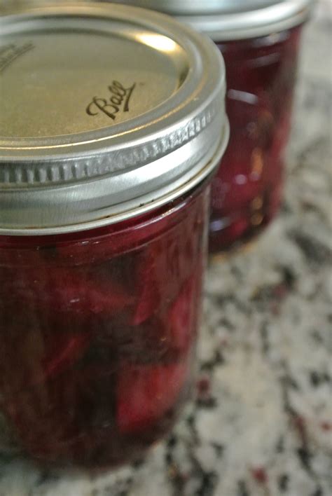 Organic Canning Pickled Beet Recipe