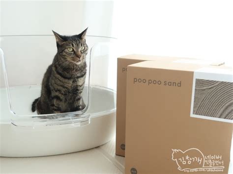 고양이 모래 추천 두잇 벤토나이트 후기 네이버 블로그