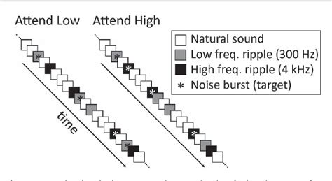 Figure 1 From Selective Attention Sharpens Population Receptive Fields In Human Auditory Cortex