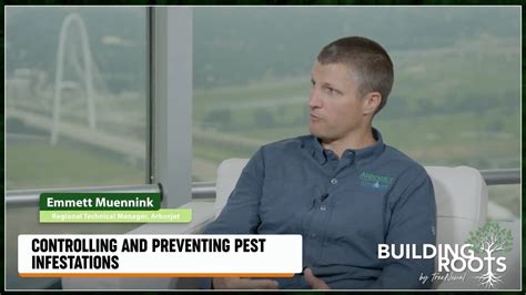 Controlling And Preventing Pest Infestations Marketscale