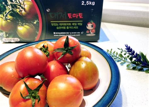 짭짤이토마토 3~5월 제철맞은 대저토마토 로얄과 후기 단짠단짠 새콤함이 으뜸인 과즙팡팡 신선한 대저짭짤이토마토 추천 산지직송