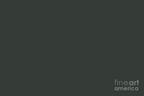 Imperturbable Dark Grey Green Solid Color Pairs To Sherwin Williams