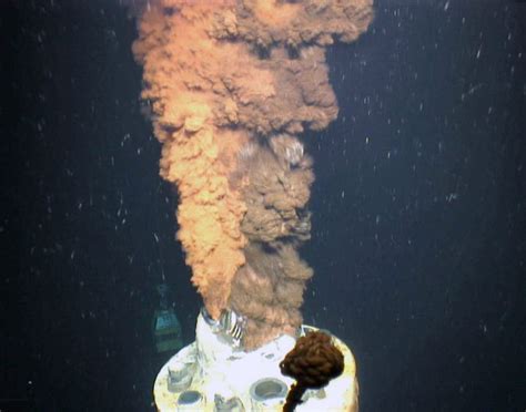 Ongoing Impacts Of The Bp Oil Spill In The Gulf Of Mexico Wgcu Pbs And Npr For Southwest Florida