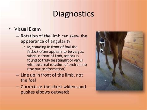 Angular Limb Deformity