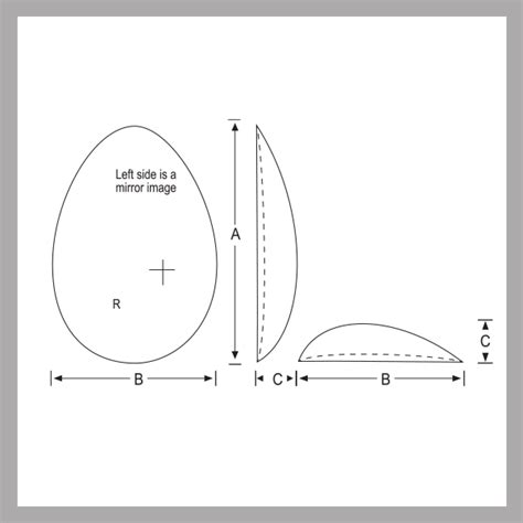Pectoralis 1 Medial Projection Hayden Medical