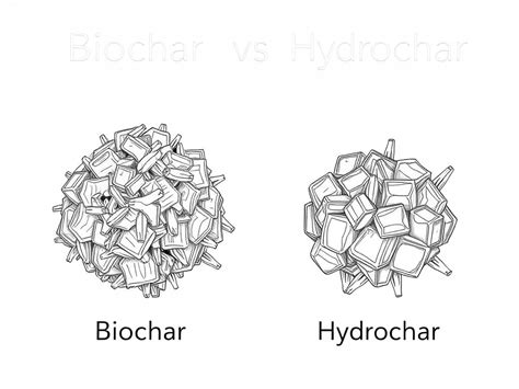Biochar Vs Hydrochar Understanding The Differences And Similarities
