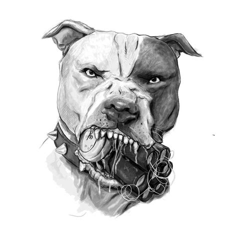 Pin By Cris Encalada On Tats In 2024 Pitbull Tattoo Pitbull Art