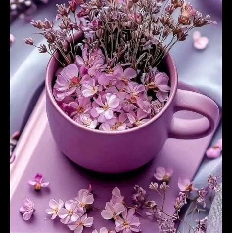 Оберне́ Obernai МЕНТАТА е един от любимите ни аромати И винаги прави така че да се