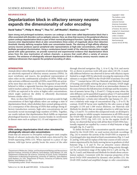 pdf depolarization block in olfactory sensory neurons expands the