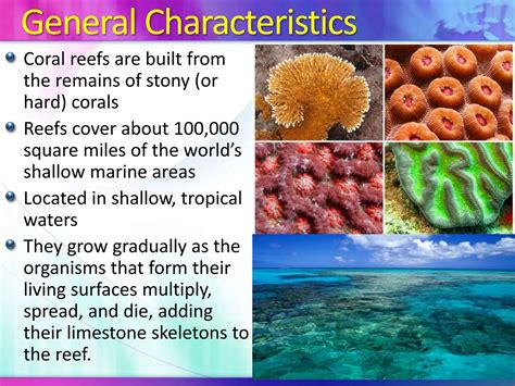 Coral Reefs Theory Types Formation Pptx