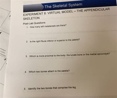 solved the skeletal system experiment 8 virtual model the