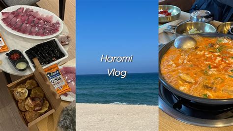 Vlog 계속 먹고 먹고 또 먹는하로미 일상 🧑🏻‍🍳 Youtube