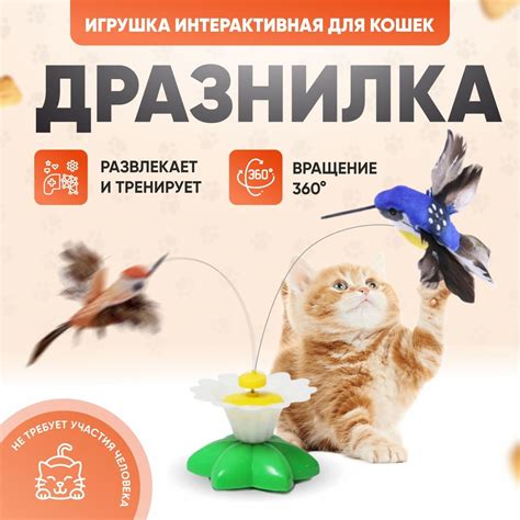Интерактивная вращающаяся игрушка для кошек "Птичка и бабочка ...