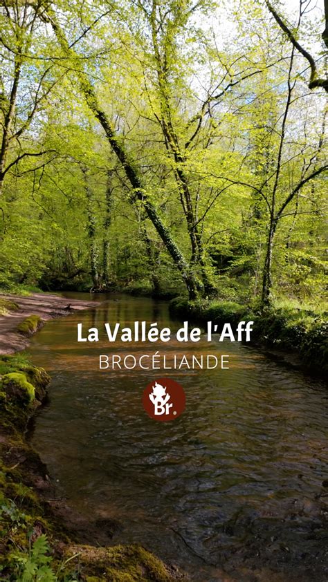 Et Au Milieu Coule Une Rivière La Vallée De Laff Brocéliande En