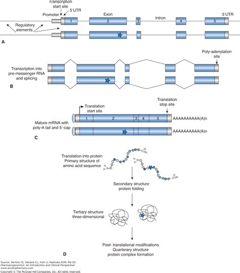 10 약물 유전체 유전자 변이 범죄 친자 분석 네이버 블로그